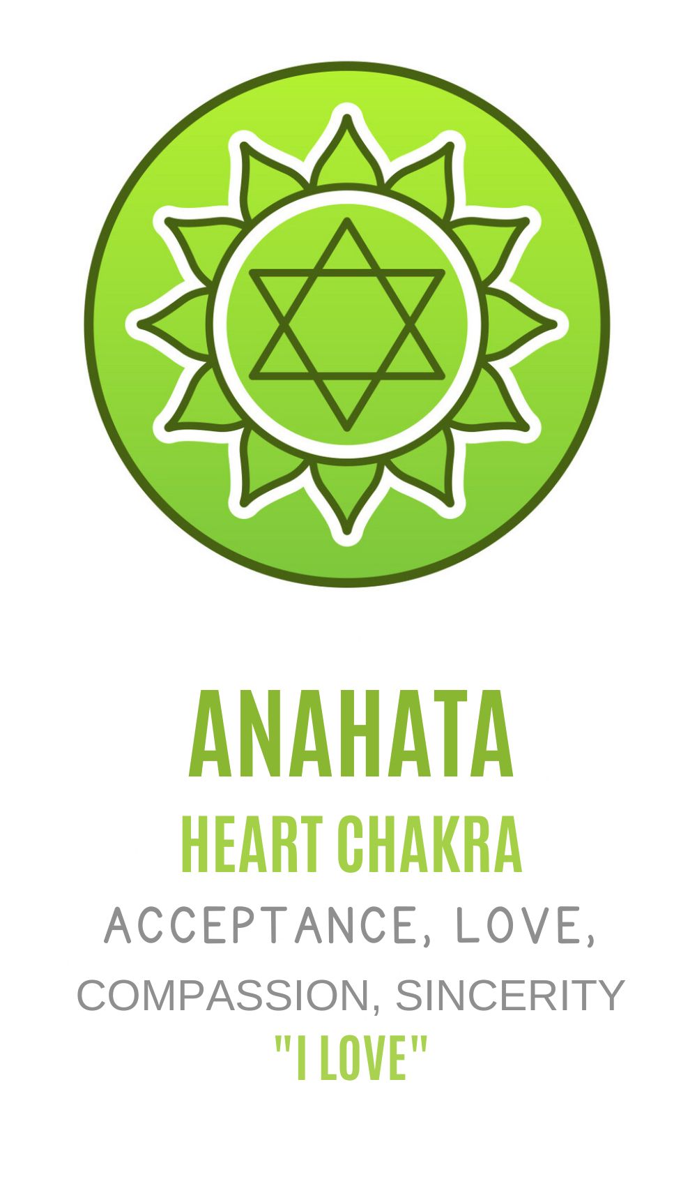 A Beginner’s Guide to Chakras and Their Meanings – Soul Bunny