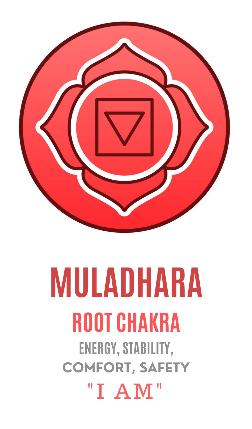 A Beginner’s Guide to Chakras and Their Meanings – Soul Bunny